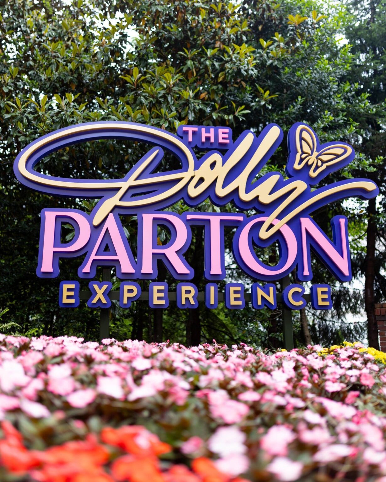 Dolly Parton Shares Exclusive Behind-The-Scenes Look At Dollywood's Newest Attraction